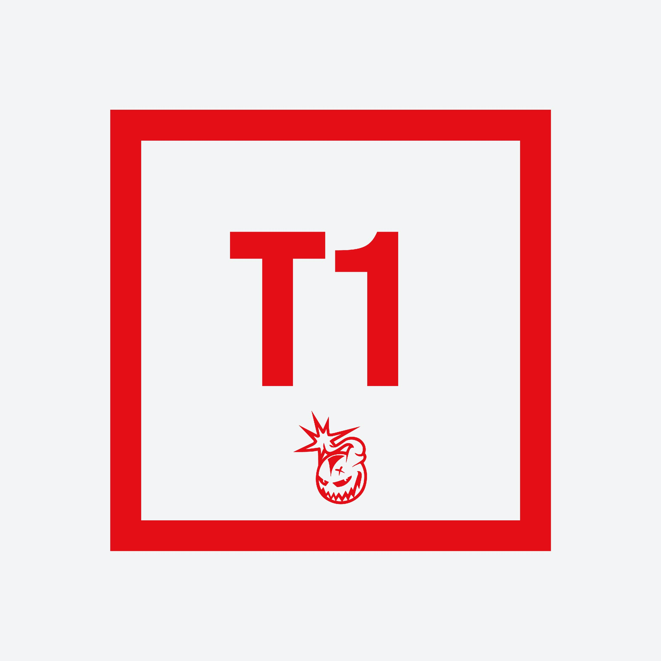 T1 Feuerwerk für Theater und Spezialeffekte